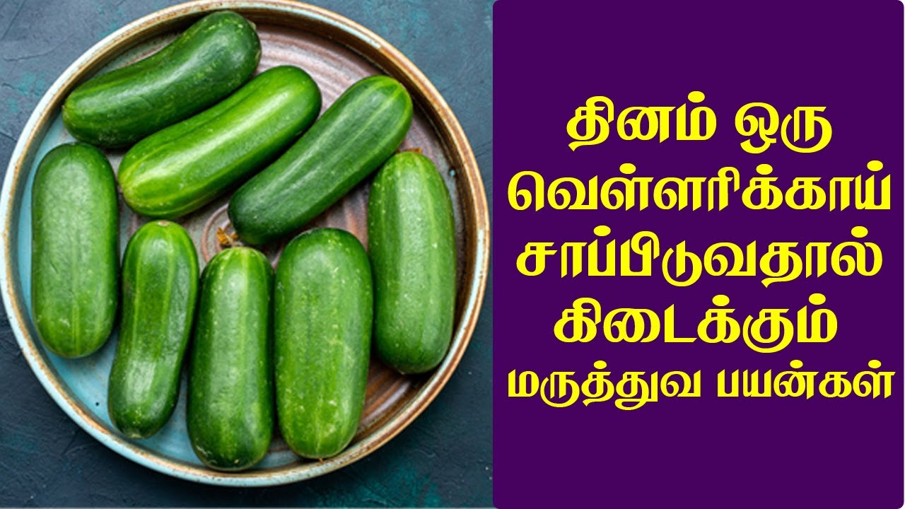vellarikkai benefits in tamil II வெள்ளரிக்காய் மருத்துவ பயன்கள் II ...