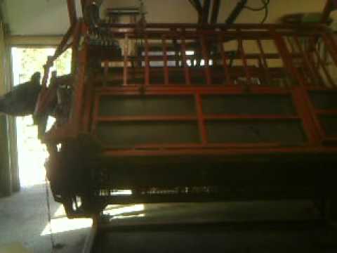 Cattle Chute - Tipping - YouTube