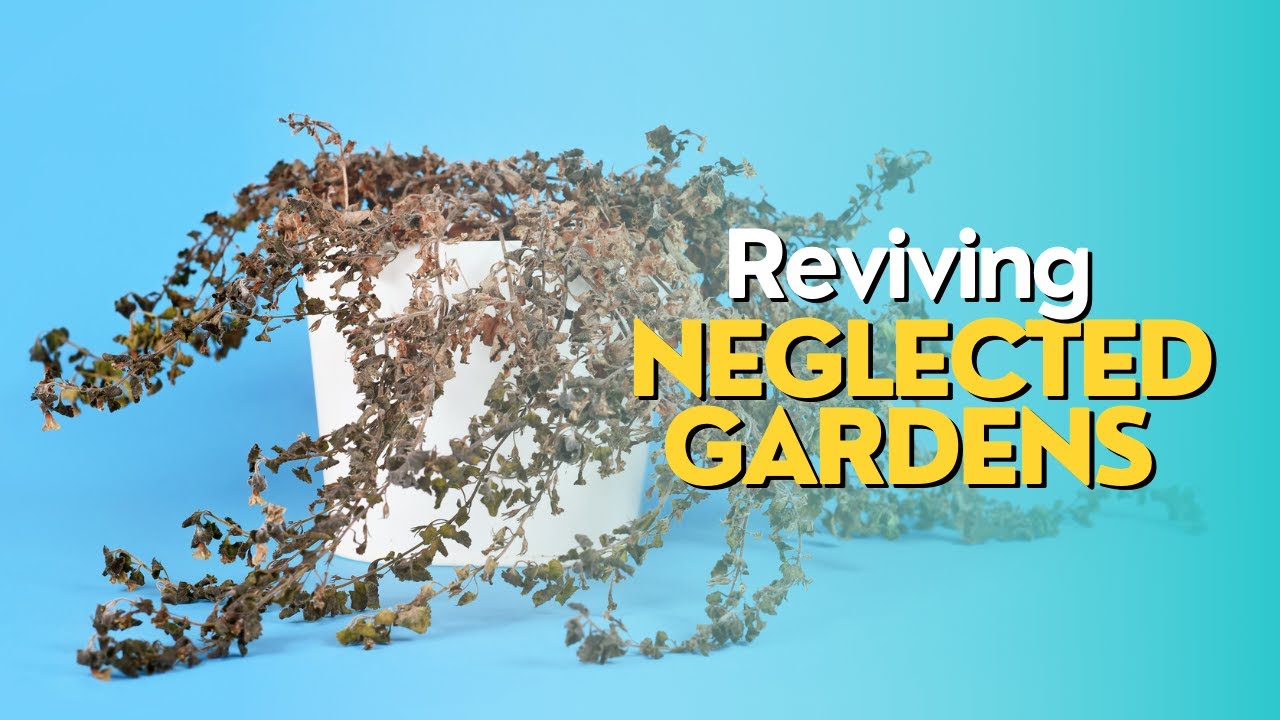 Reviving Neglected Gardens - YouTube
