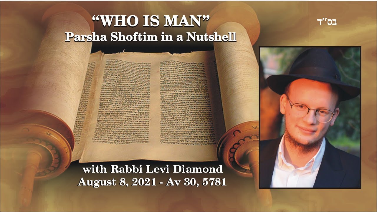 Parsha in a Nutshell - Who Is Man? - Parsha Shoftim - YouTube