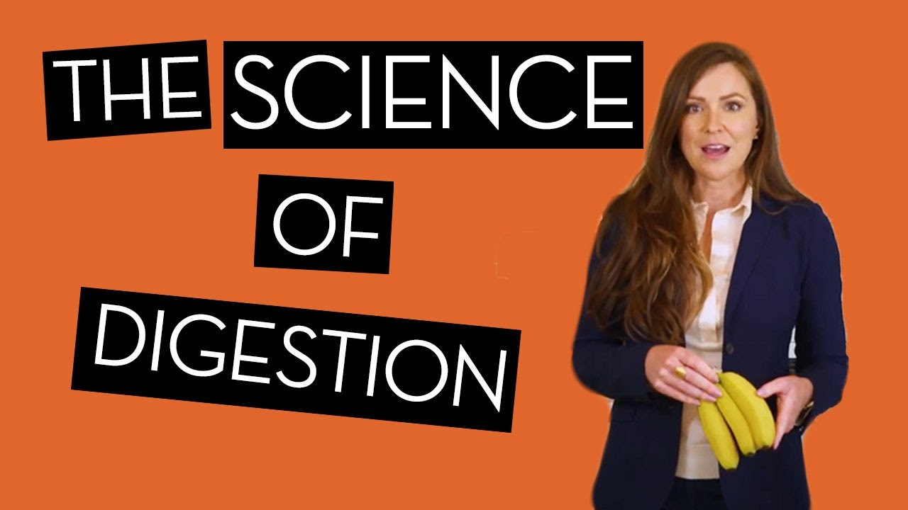 The Science of Digestion with Doctor Jennifer - YouTube