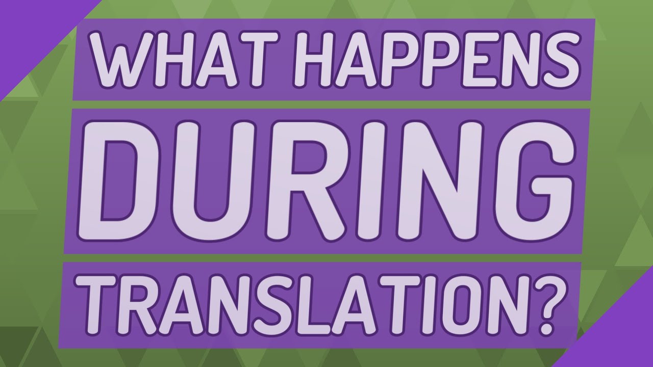 What Happens During Translation YouTube what-happens-during-translation-youtube