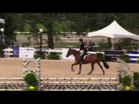 Video of ZIVA ridden by CAROLINE LOOS from ShowNet! - YouTube