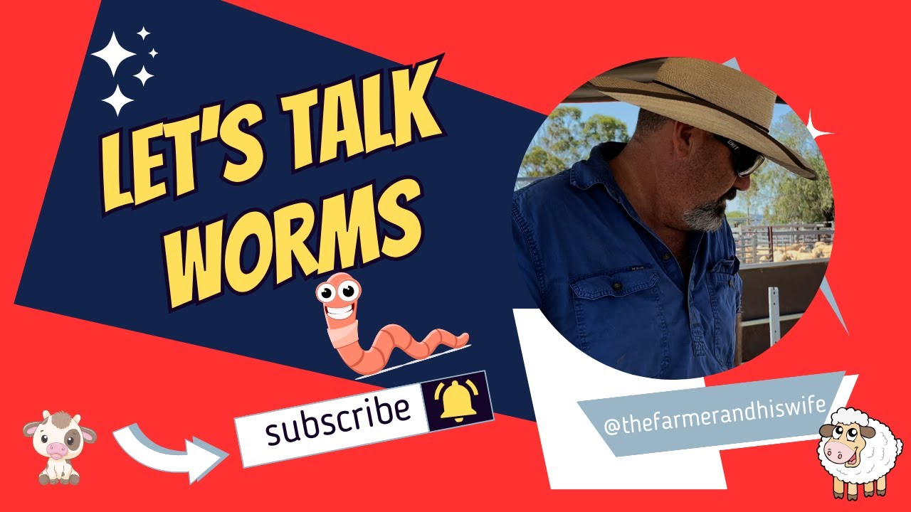 Let's talk worms - YouTube