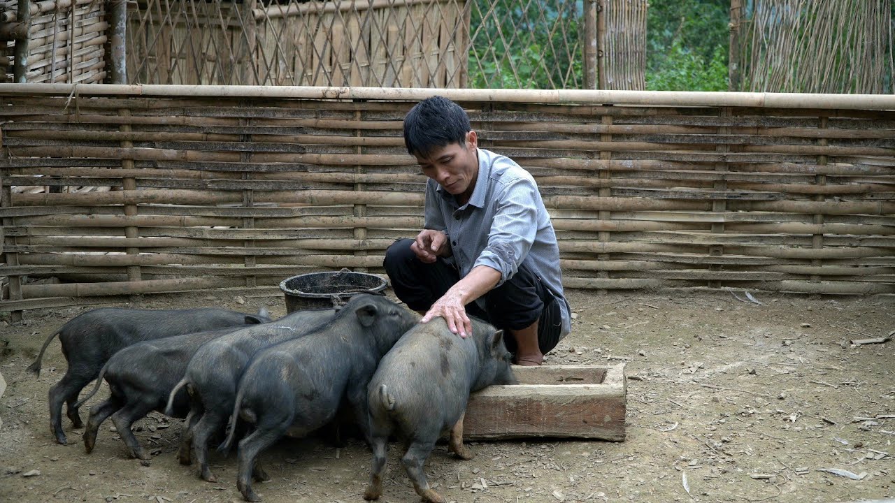 FULL VIDEO: 150 Days Build Life - Take Care of Pigs, Ducks, Chickens on ...
