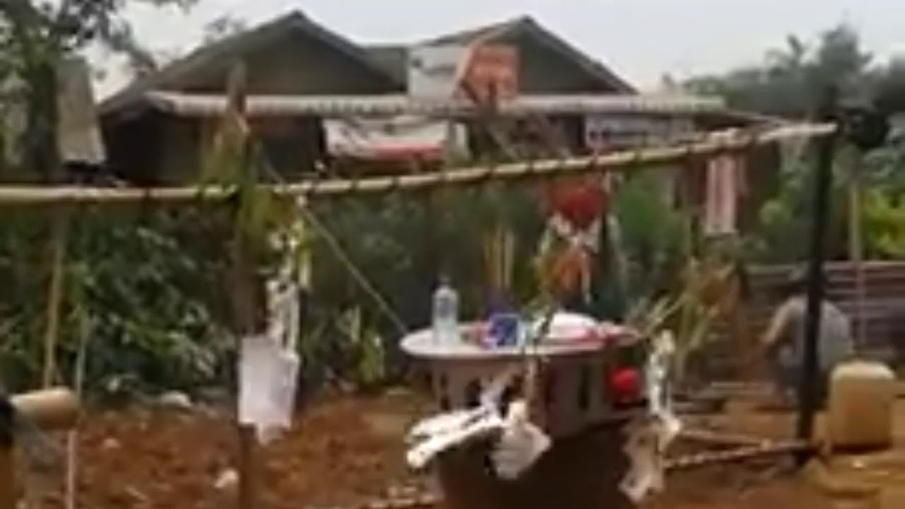 Qhia txog fiv yeem thiab pauj yeej 2019 - YouTube