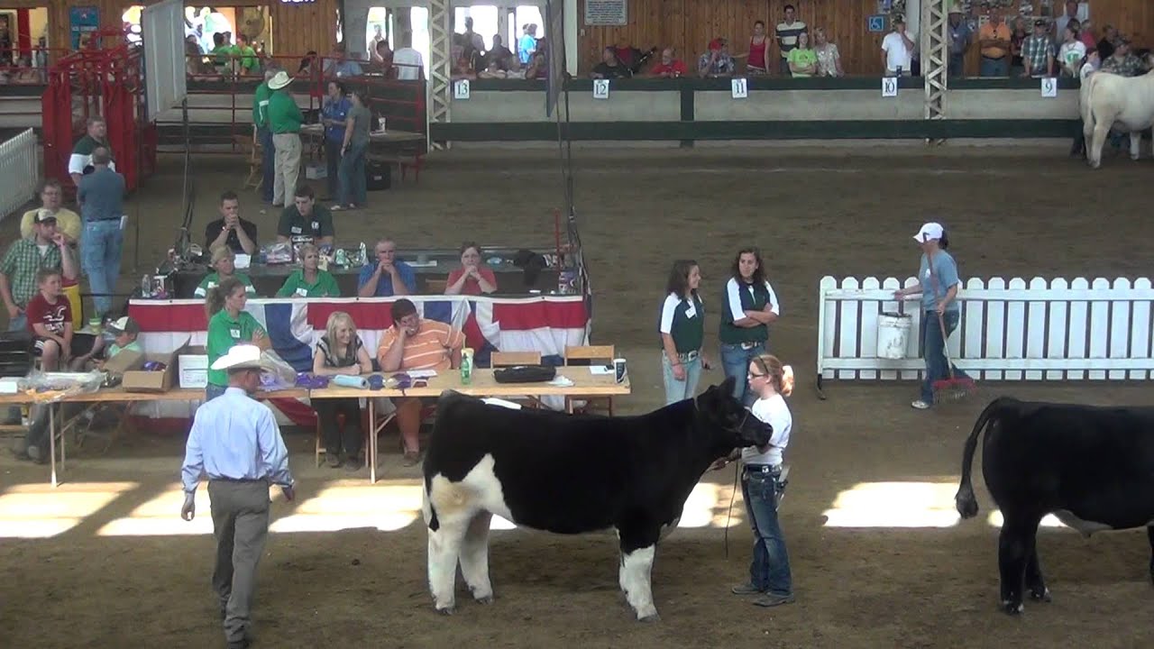 Iowa State Fair-Champion Maine-Anjou Steer Drive Sponsored by Goretska ...
