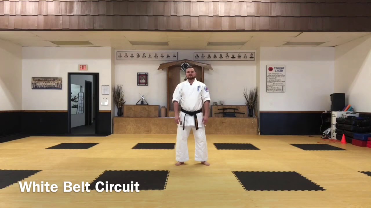 White Belt Training Circuit - YouTube
