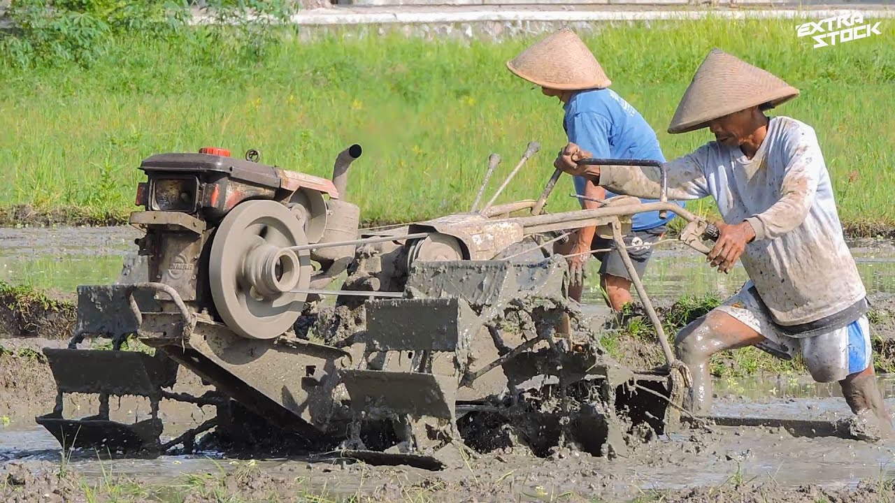 Penuh Lumpur!! Traktor Sawah Rotary Berjalan Berat Di Tanah Penuh ...