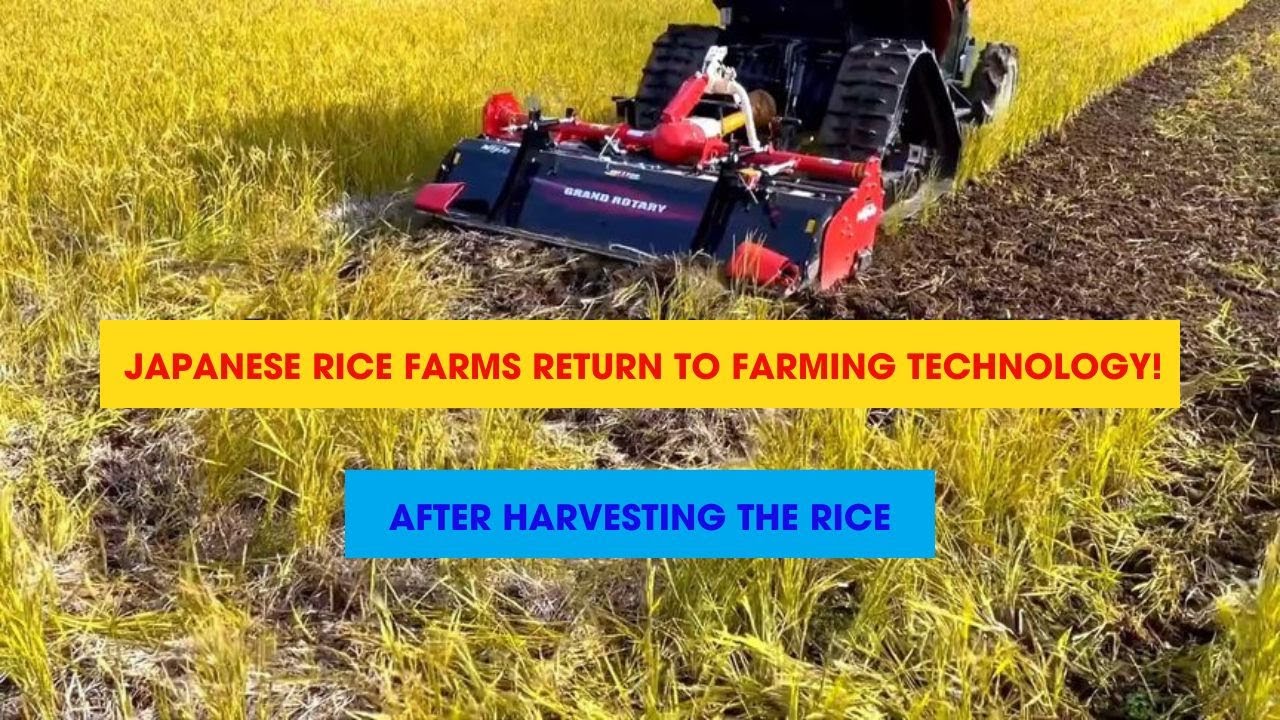 Smart Agriculture No 04 -Japanese rice farms return to farming ...
