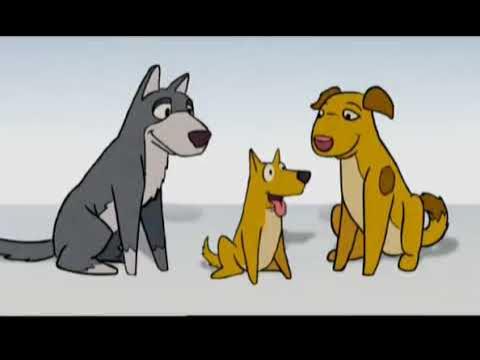Dogs and More Dogs - PBS NOVA Documentary - Amazing Dogs - YouTube