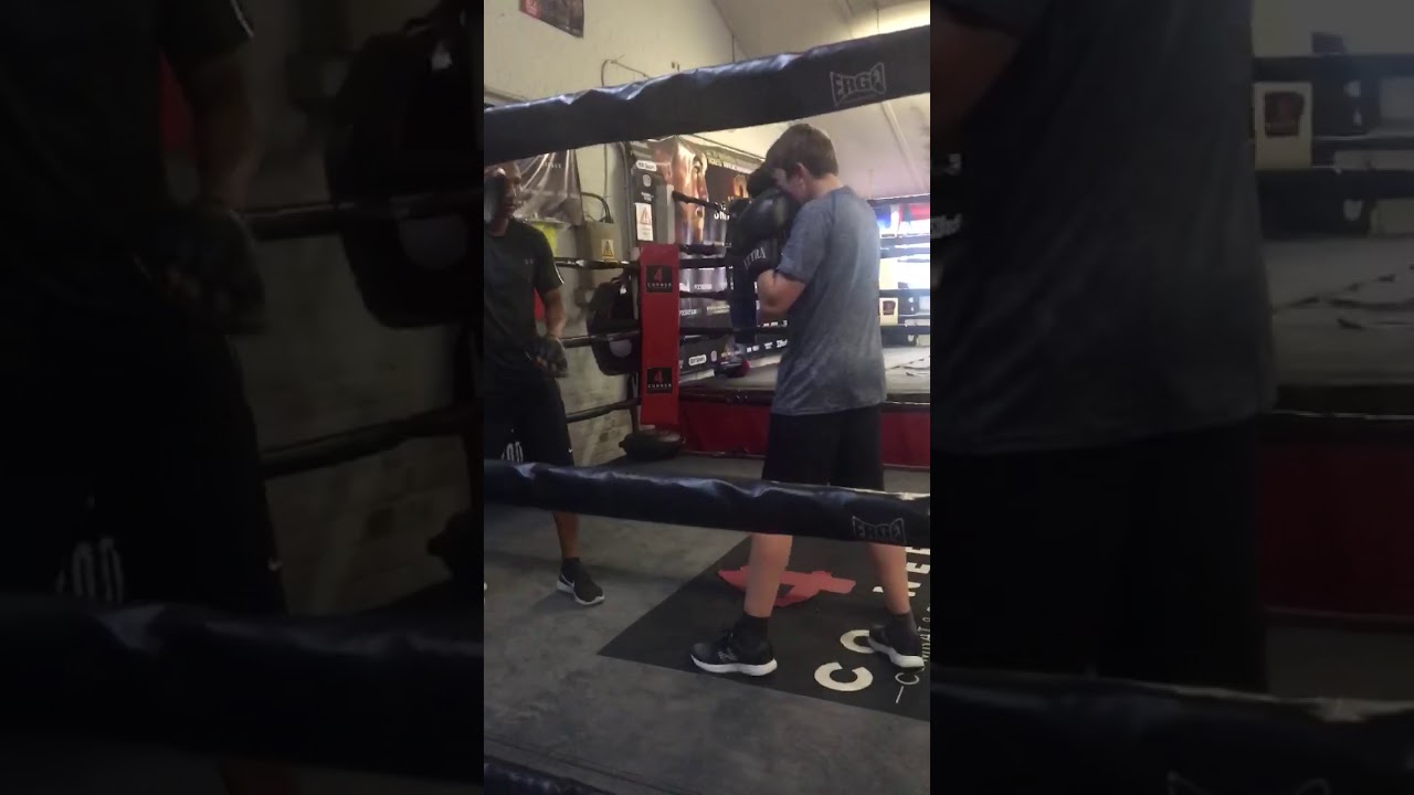 Dg Boxing 2019 Youtube