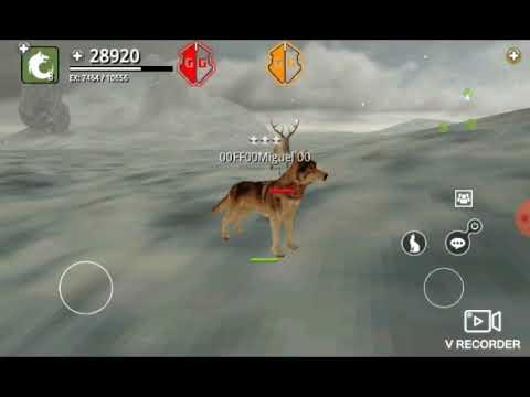 Learning to get Wolf codes online - YouTube