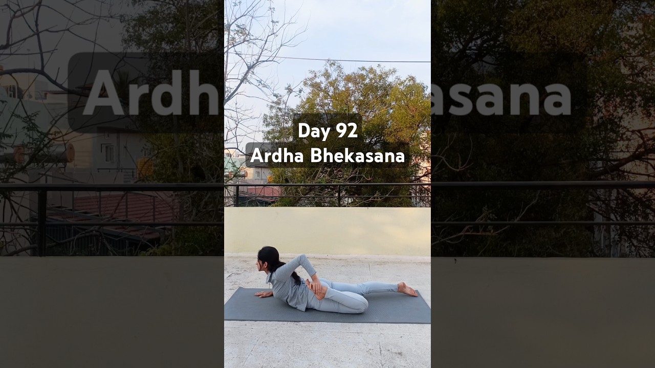 Day 92: Ardha Bhekasana or Half Frog Pose strengthens our chest and ...