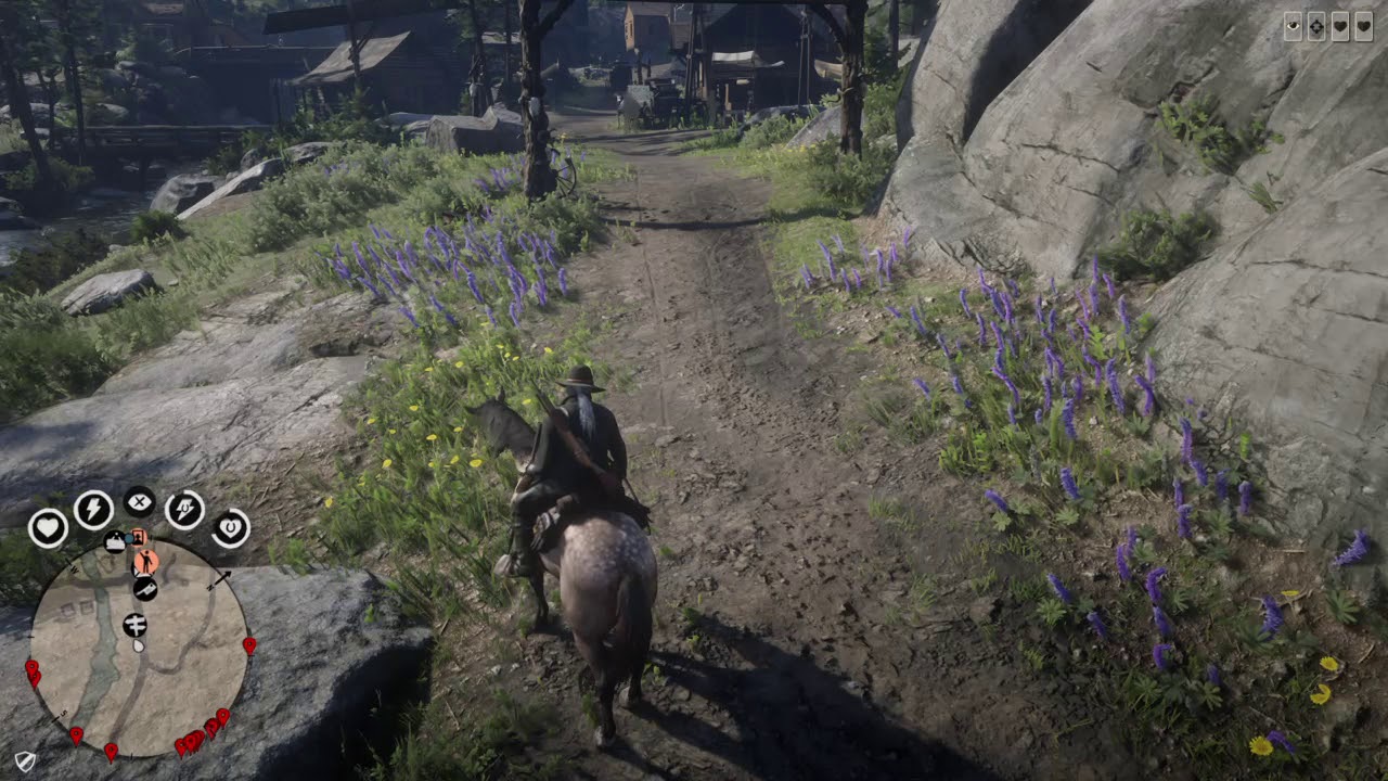 Red Dead Redemption 2 Online Lasso - YouTube