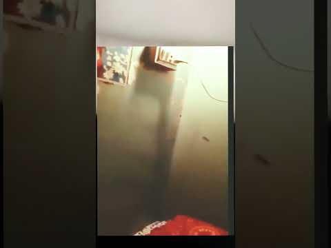 Surat Red Light Area Chakla Bazar - YouTube