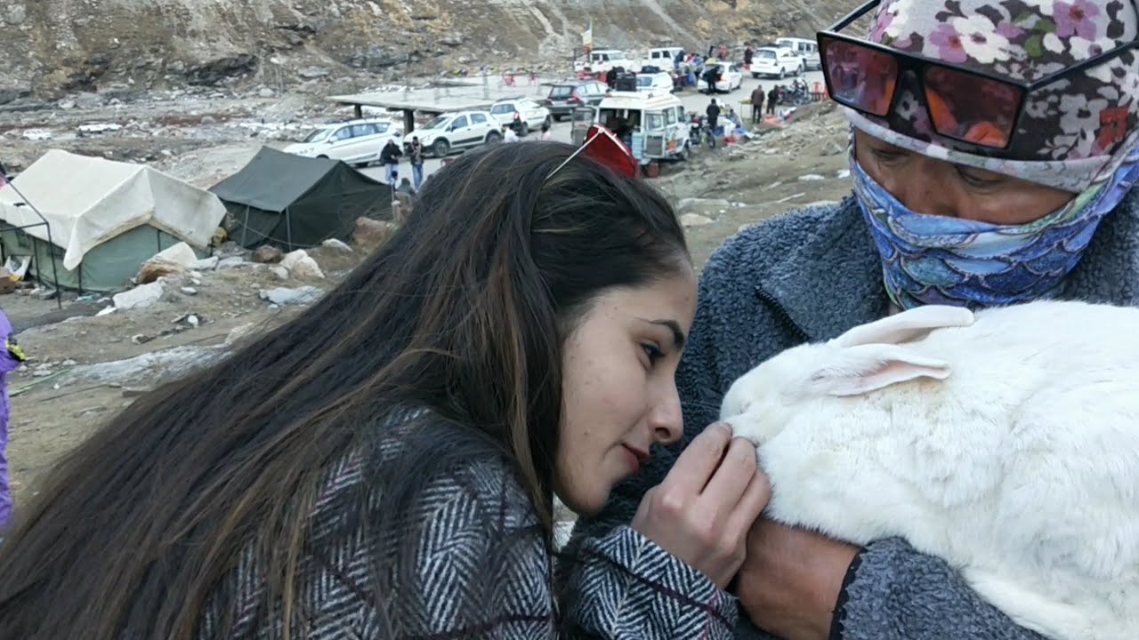 Koksar | Atal tunnel | Manali | koksar snow point | koksar Maggie point ...