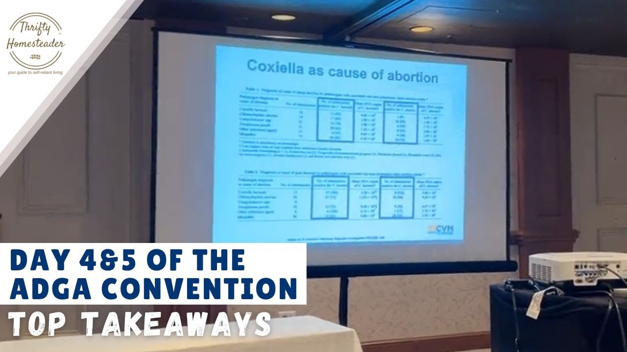 Days 4-5 of the ADGA Convention - YouTube