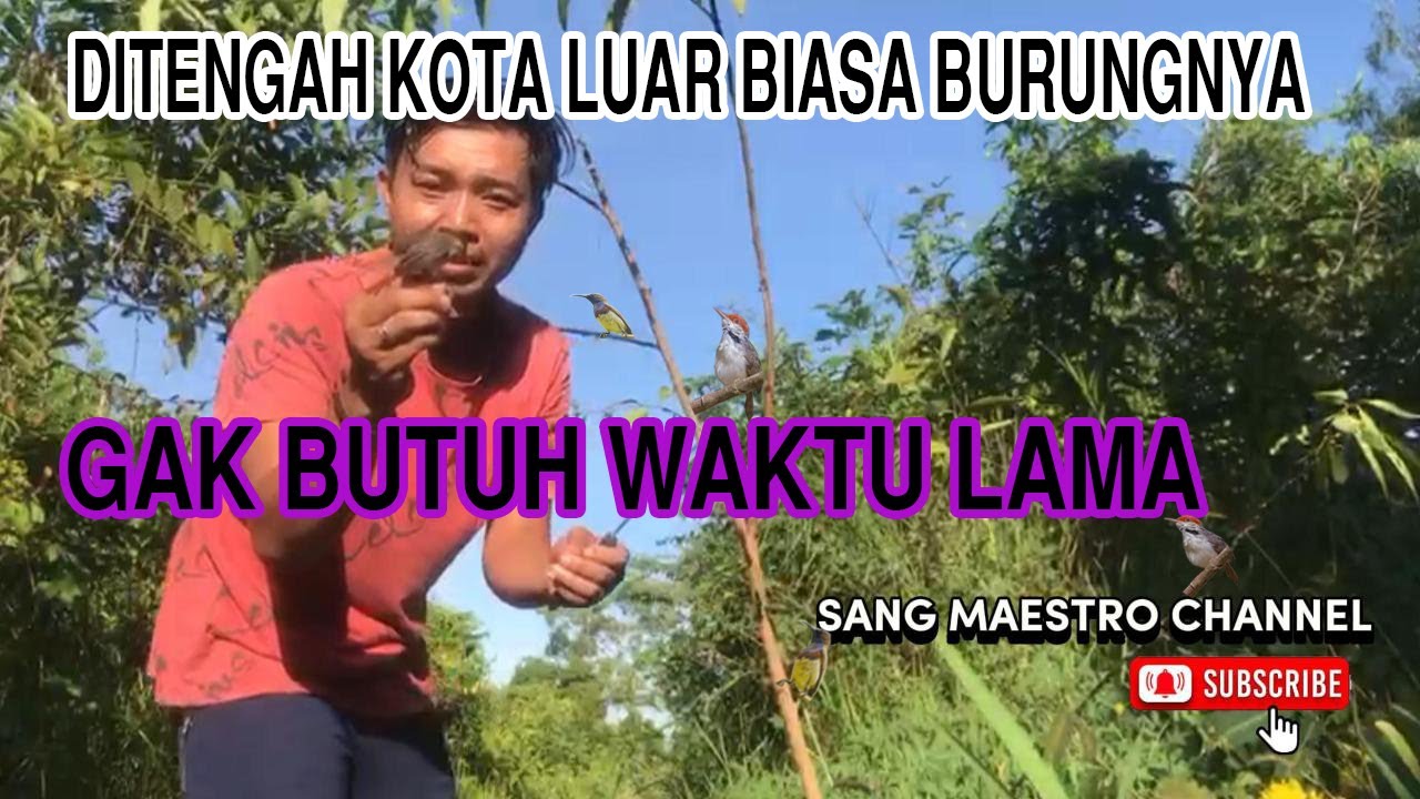 GAK BUTUH WAKTU LAMA !!! GAK DISANGKA !!! - YouTube