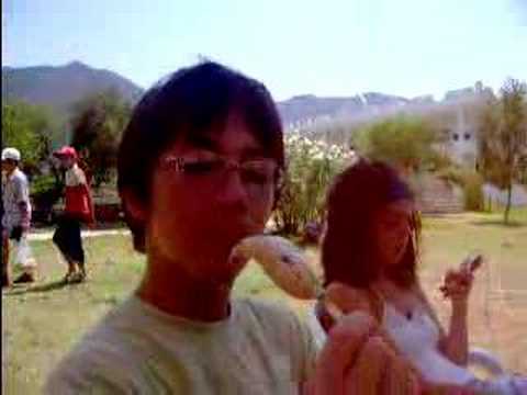 dondurma böyle yenir...