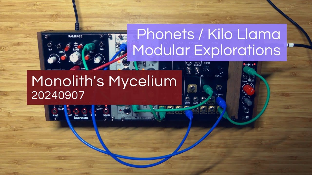 Modular Explorations: Monolith's Mycelium (Drone) - YouTube