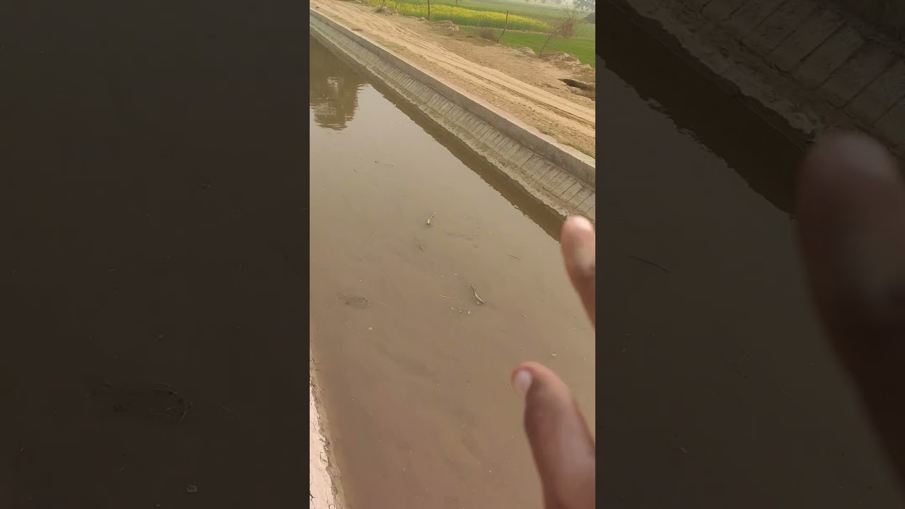 Irrigation systems Freeboard Of Canal | Canal Irrigation system - YouTube