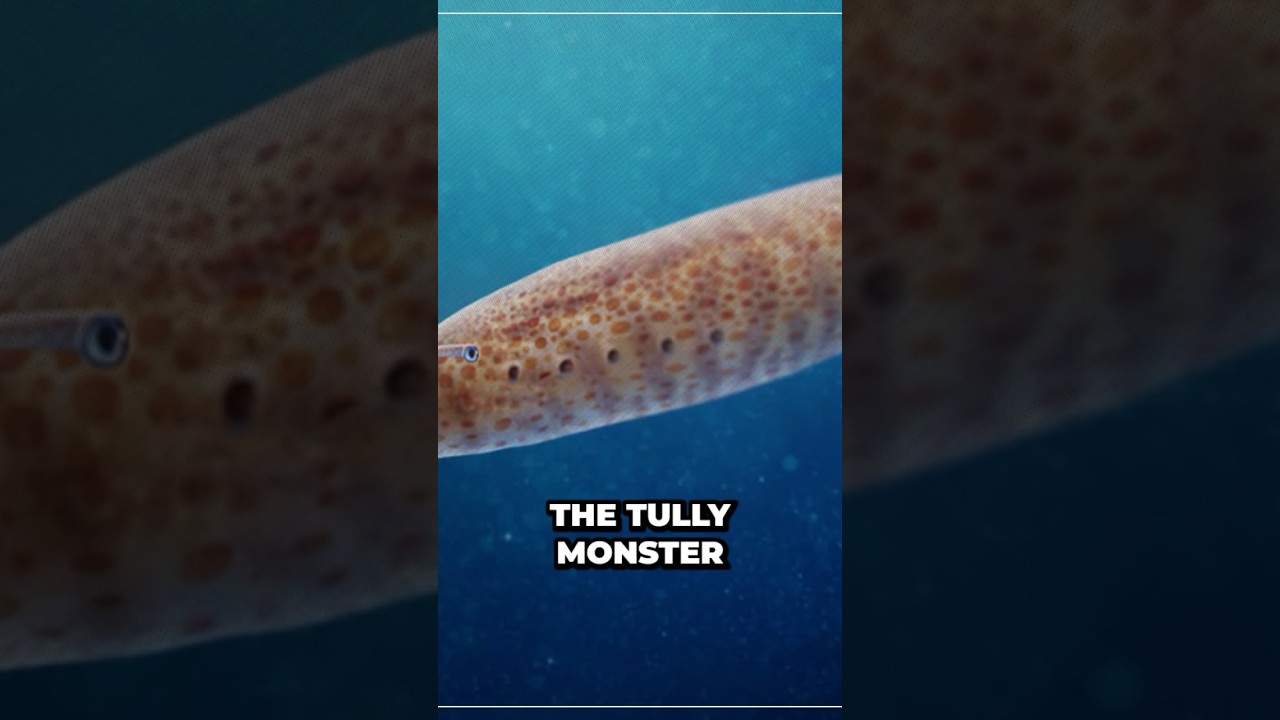 Uncovering the Tully Monster: A Shocking Discovery of a Mysterious ...
