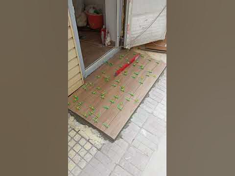#Укладка плитки #Проводка# Штукатурка #Ремонт под ключ. - YouTube