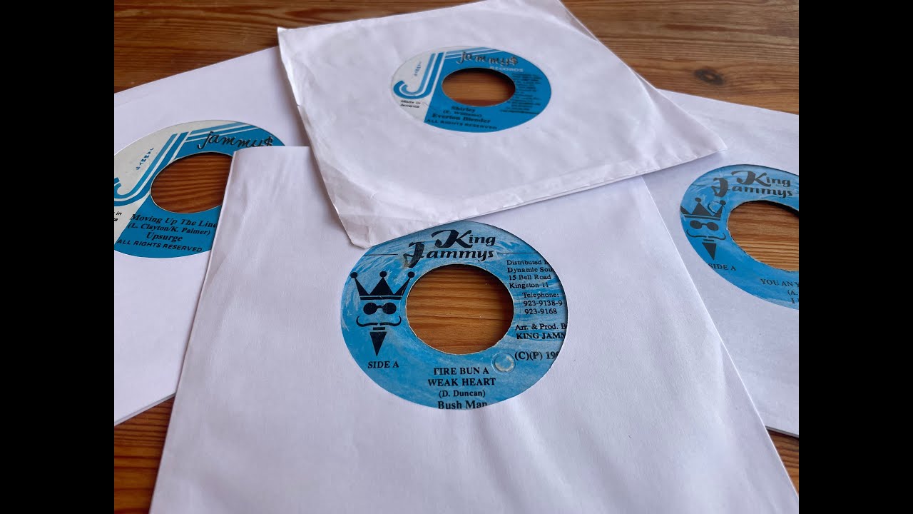 Landlord/Hypocrites Riddim Mix (Bushman, Half Pint, Yellowman, Dennis ...