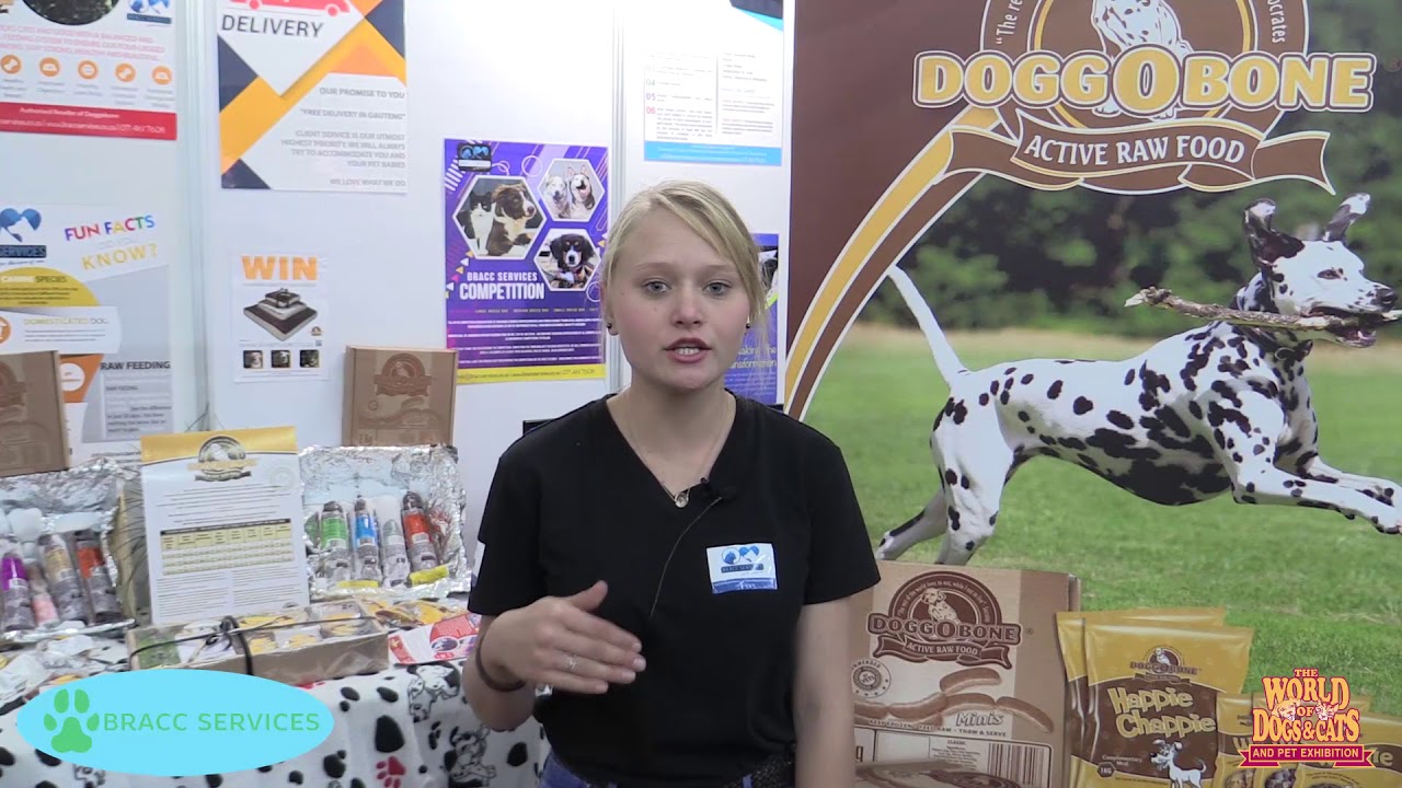 WODAC - Bracc Services Interview - YouTube