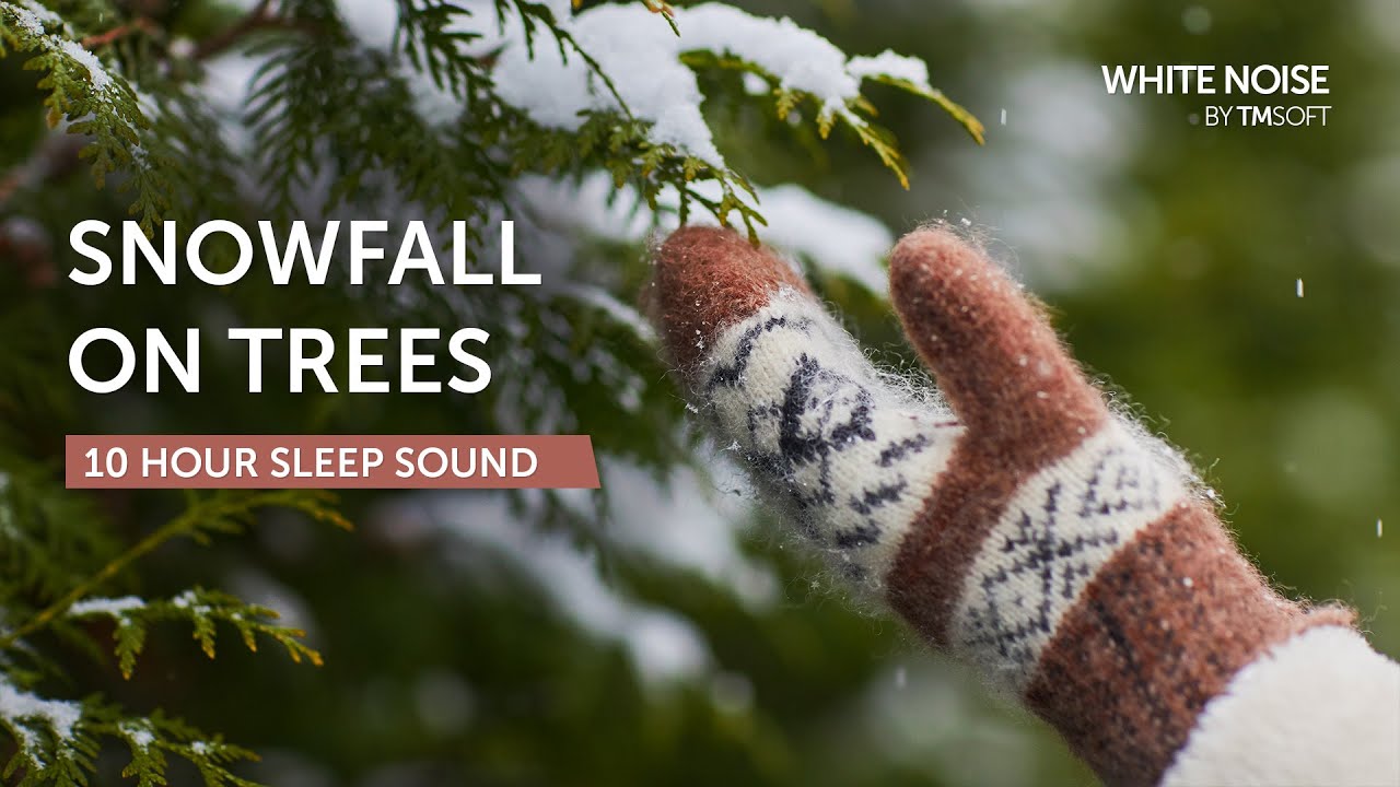 Snow falling on Trees - 10 Hours Sleep Sound - Black Screen - YouTube