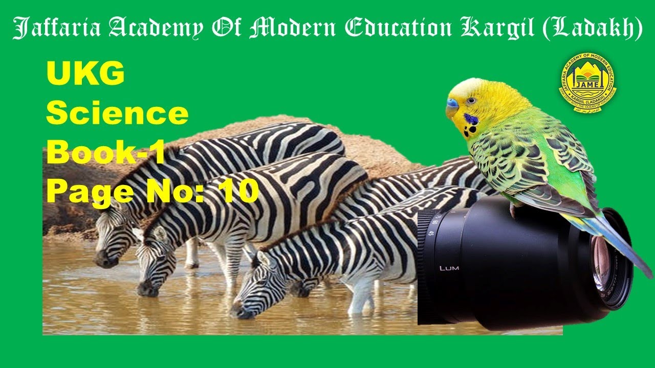 UKG Science P no 10 Book 1 - YouTube