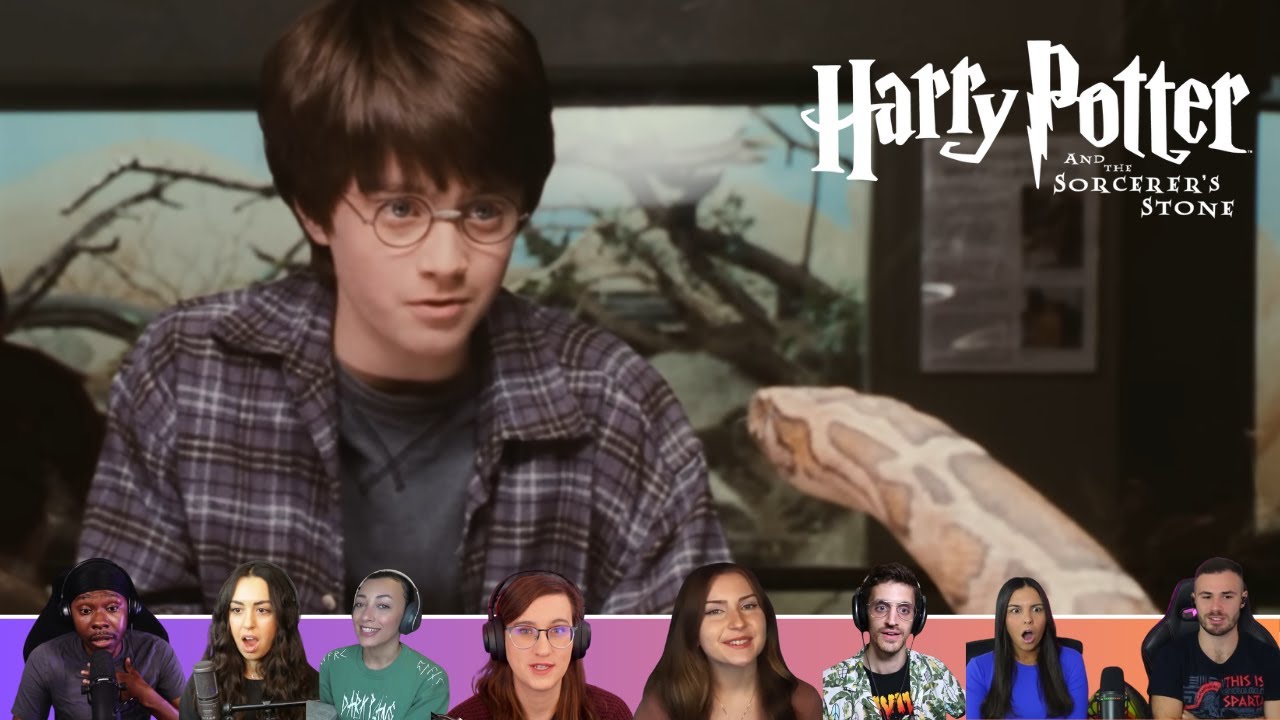 Reactors Reaction to the Zoo Scene in Harry Potter and the Philosopher ...