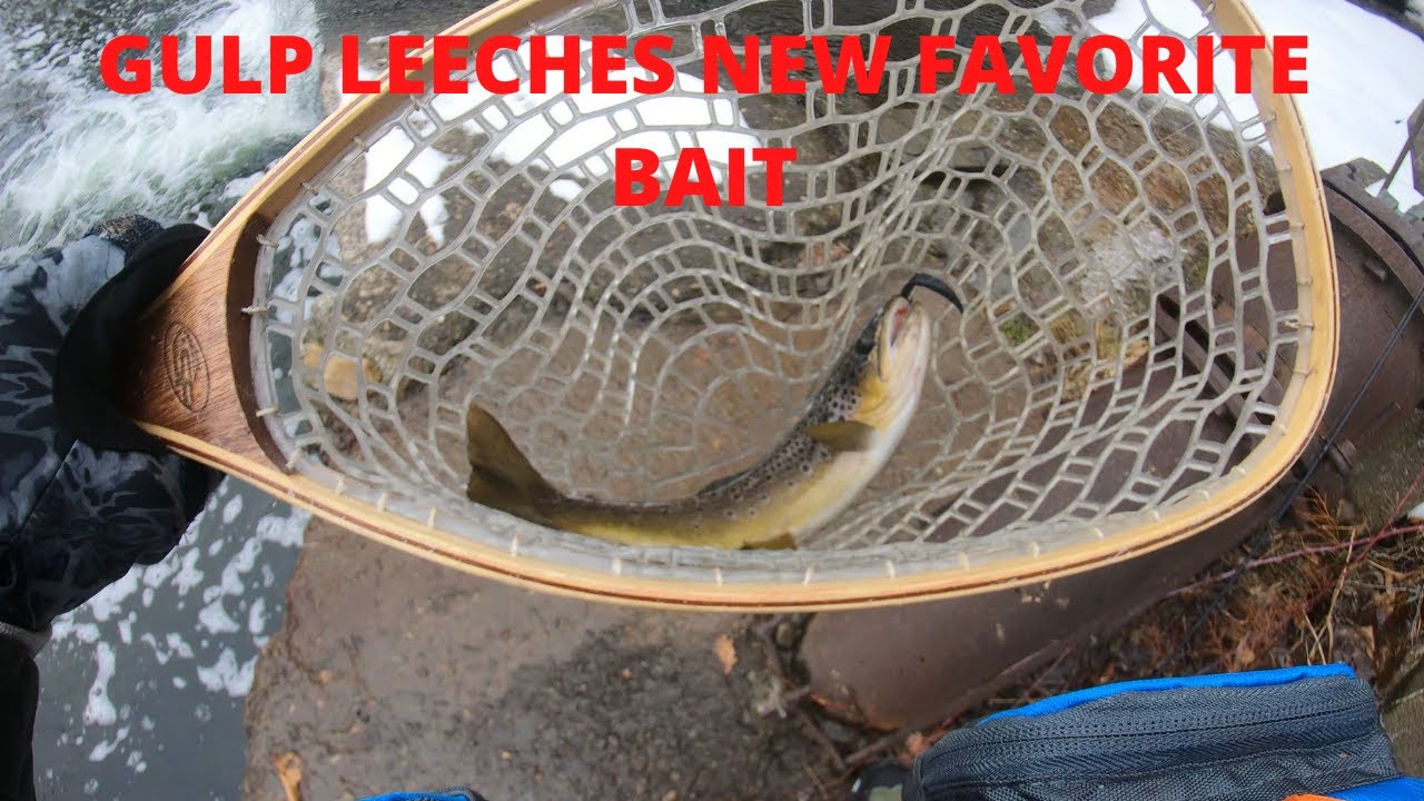 Trout Fishing With Berkely Gulp Leeches - YouTube