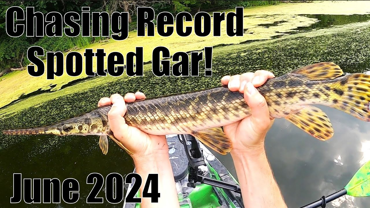 Indiana Kayak Fishing: Chasing Record Spotted Gar Pt 5 6/19/24 - YouTube