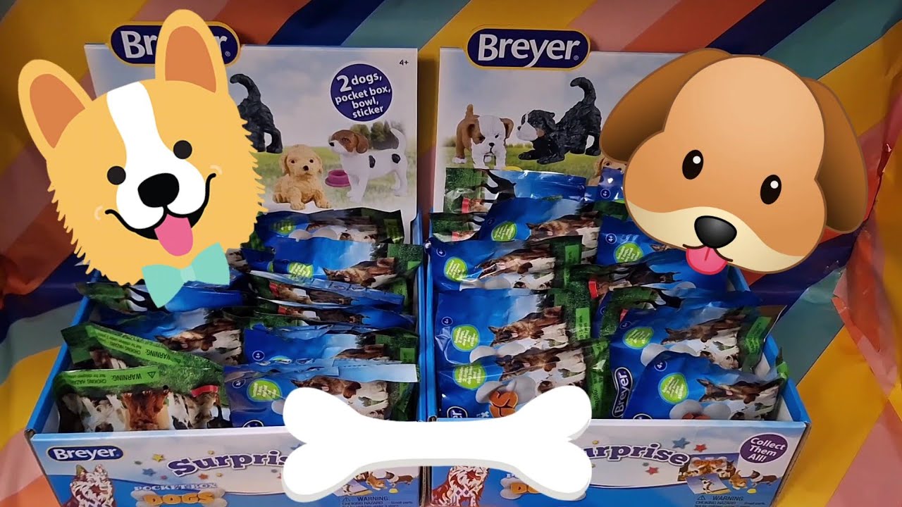 🐶Breyer Surprise 🎊 POCKET BOX DOGS 🐕 Unboxing💙 - YouTube