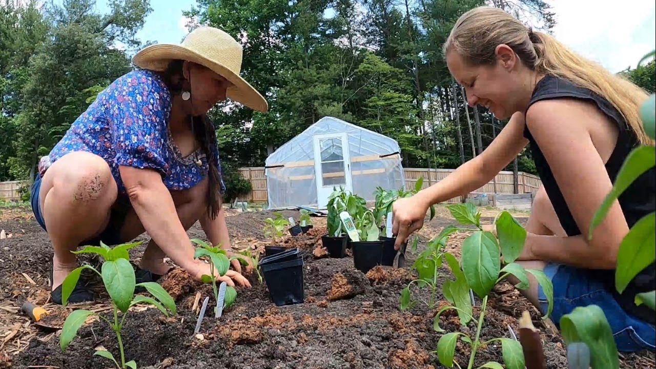 Bri From Scratch's Suburban Garden | Working together to get it all ...