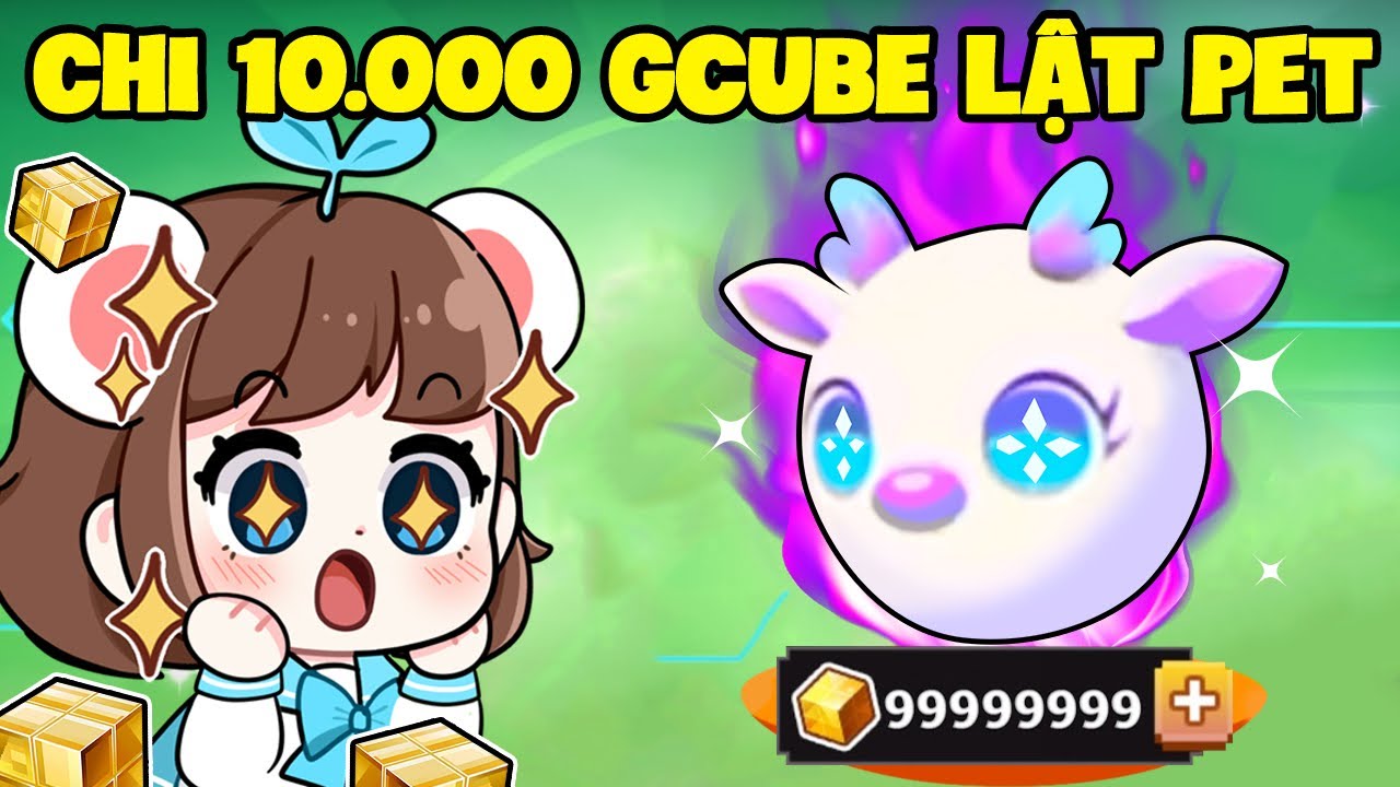Mèo Simmy Chi 10.000 Gcube "LẬT RA PET SIÊU HIẾM" Trong BlockMan Go ...