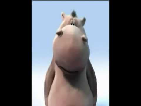 Hipopotamo e o Cachorro - Clipes Animados