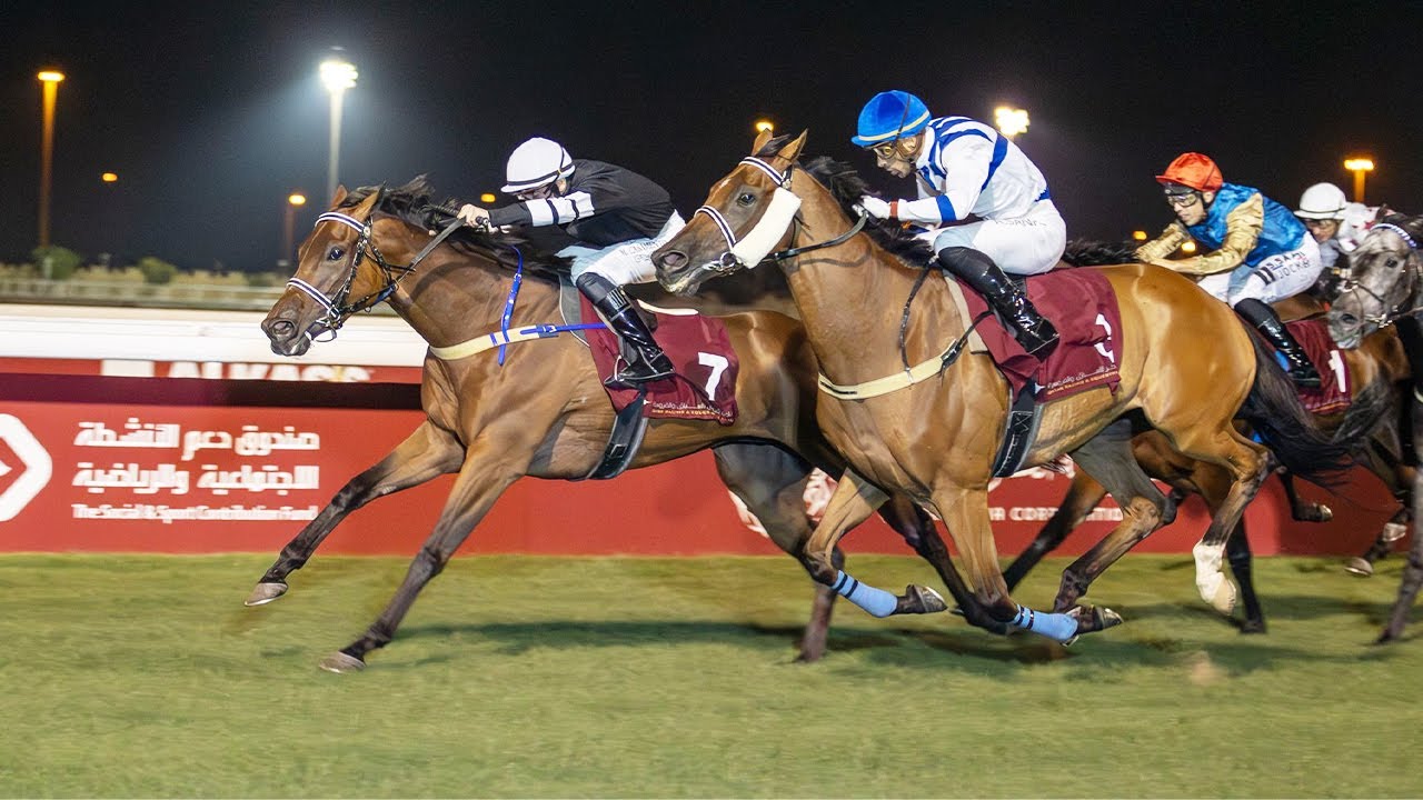 RM 13 Al Rayyan Race 6 - The Late Sheikh Ali Bin Faleh Al Thani Cup ...
