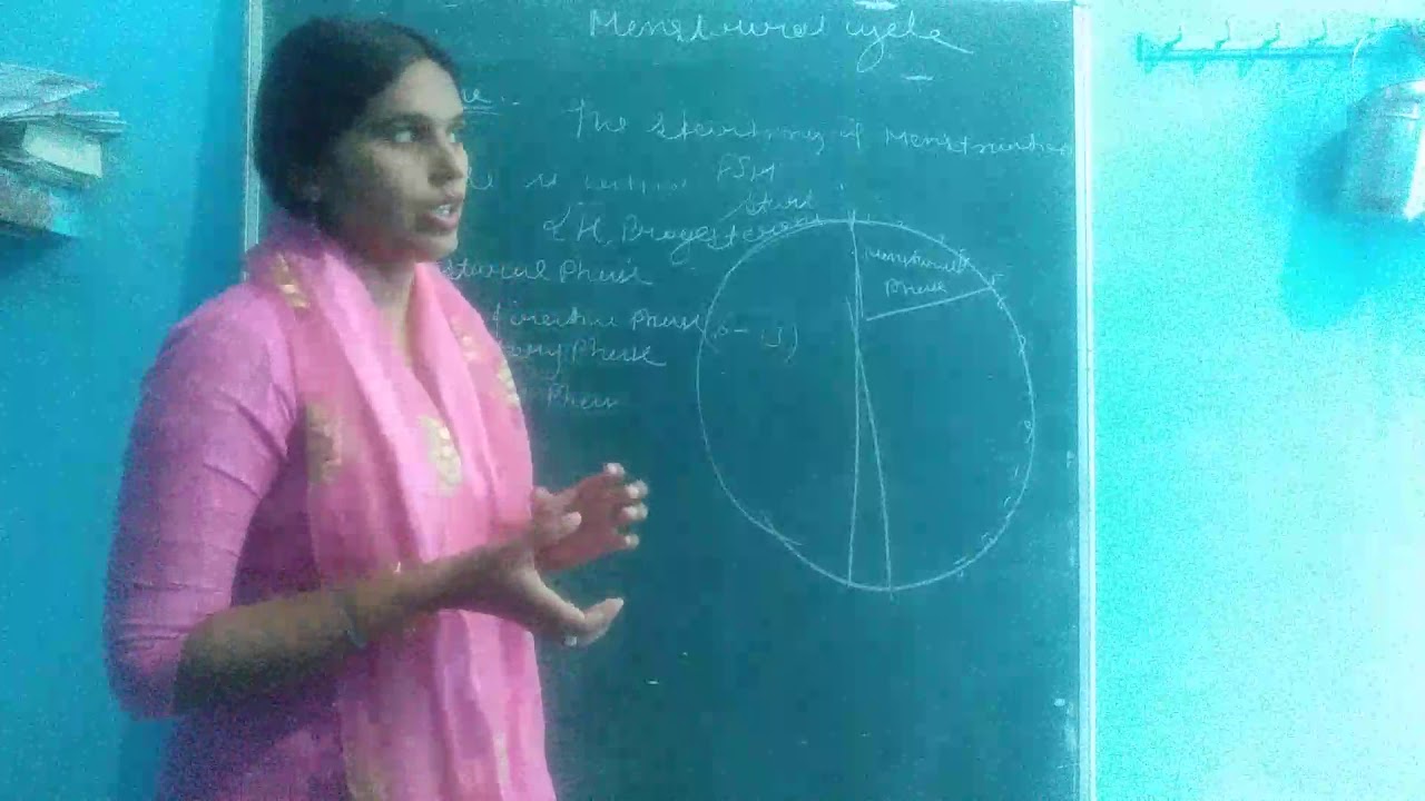 Biology class 12th : menarche, mensuration cycle and menopause - YouTube