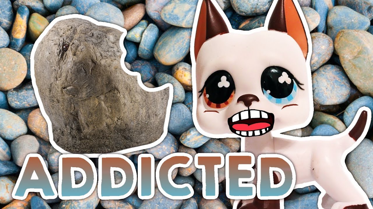 Lps Addicted To Eating Rocks My Strange Addiction Episode 35 Youtube