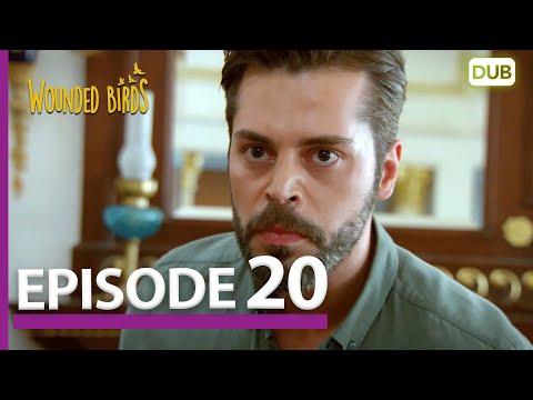 Wounded Birds Episode 20 - Urdu Dubbed | Turkish Drama