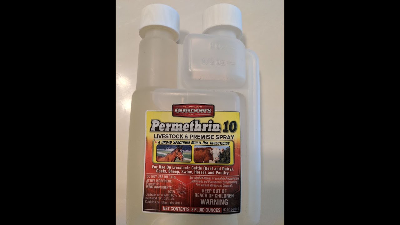 Does Permethrin Work on Wasp Nests? - YouTube