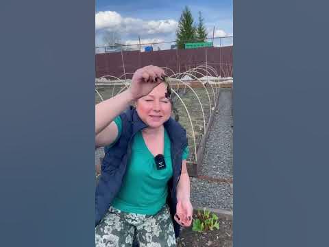 В этом году снимаю укрывной, пролежал он там 3 сезона - YouTube