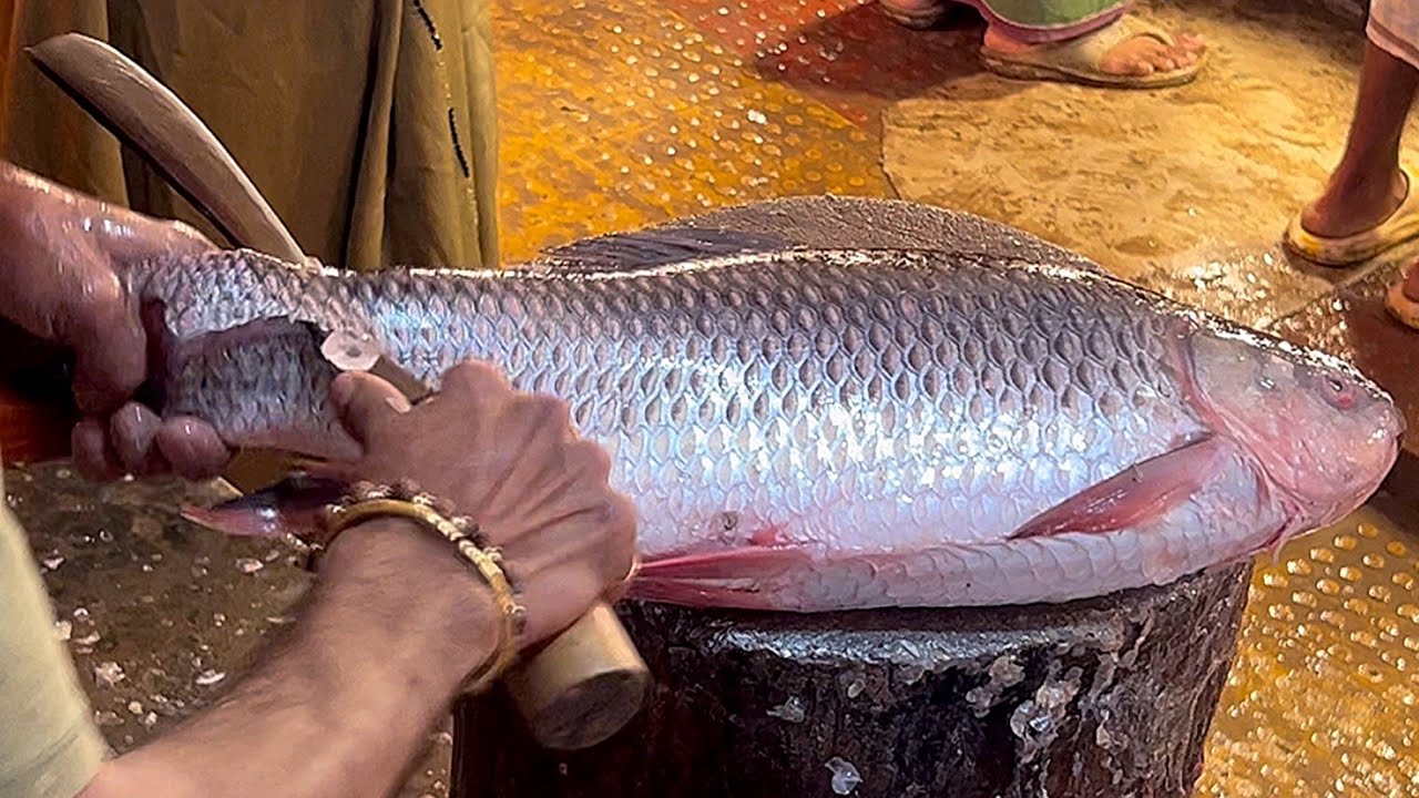 Incredible Cutting Video | Big Rohu Fish Cutting By Expert Fish Cutter ...