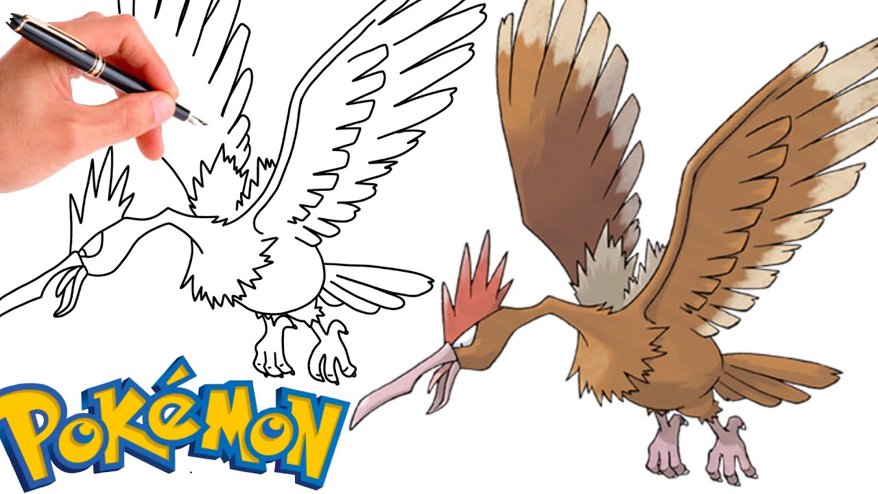 How To Draw FEAROW POKEMON #022 | Generation 1 - YouTube