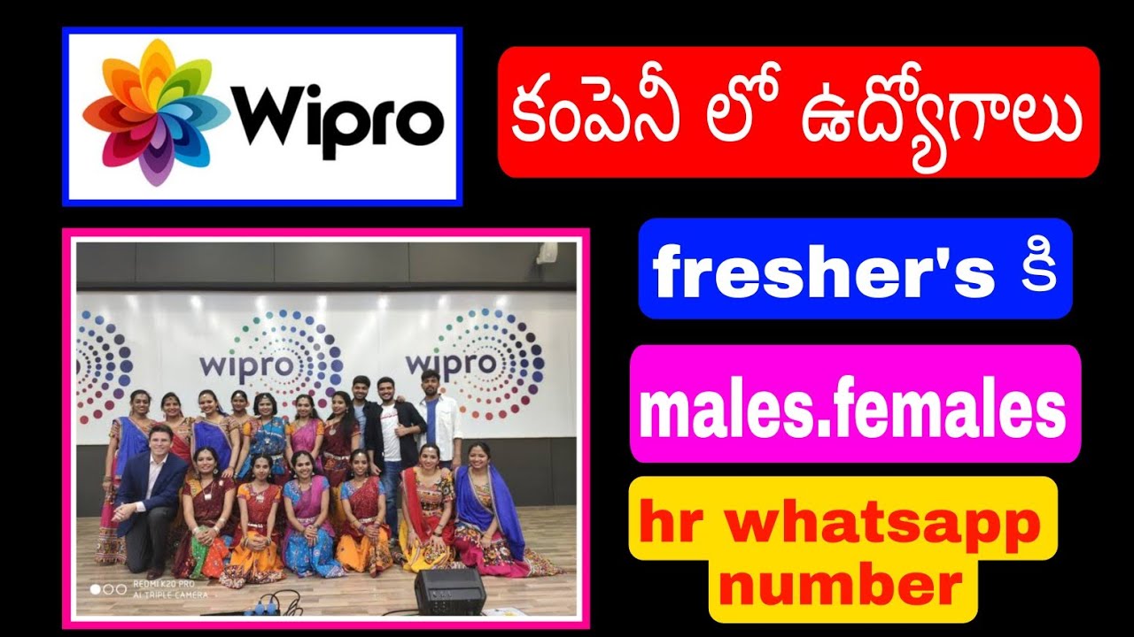 wipro company non voice process recruitment for fresher's graduate's ...