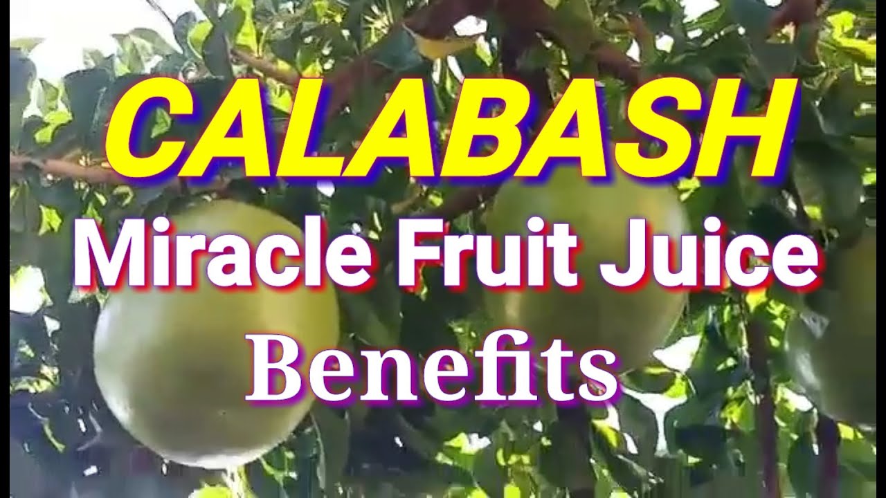 Calabash Miracle Fruit Juice - YouTube