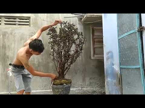 (dx)25M 23...kim tiền...300k hl 0963671126 trí